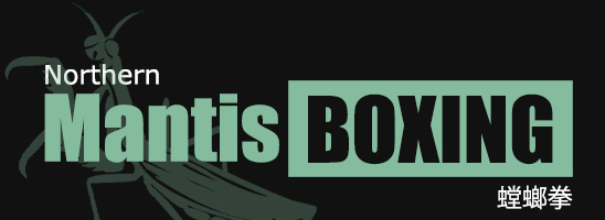 Qi Jiguang – 戚繼光 – The Boxing Classic – Northern Praying Mantis