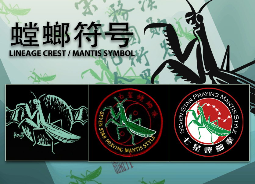 Qi Jiguang – 戚繼光 – The Boxing Classic – Northern Praying Mantis